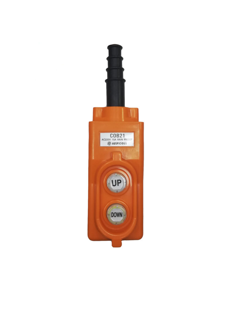 Pendant Switch COB Series 2 Button Direct Operation Model: COB21